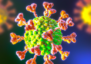 Wat is RSV? - RSV - Respiratoir Syncytieel Virus